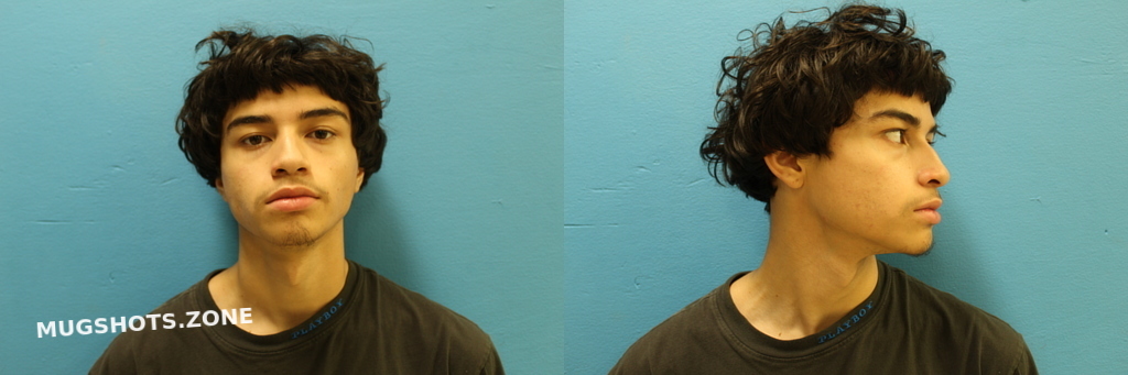 HERNANDEZ-REYES ANDI 09/16/2023 - Guadalupe County Mugshots Zone