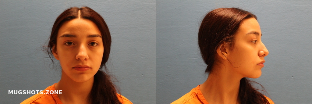 ROMO EMILY 10/28/2023 - Guadalupe County Mugshots Zone