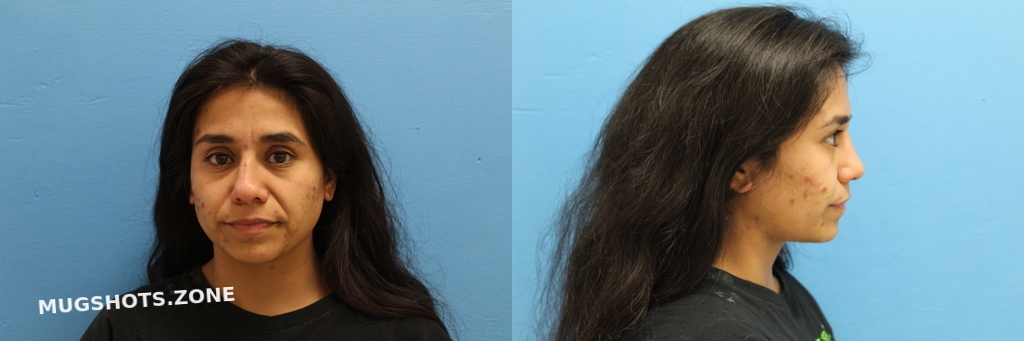 CRUZ ANDREA MICHELLE 11/06/2023 - Guadalupe County Mugshots Zone