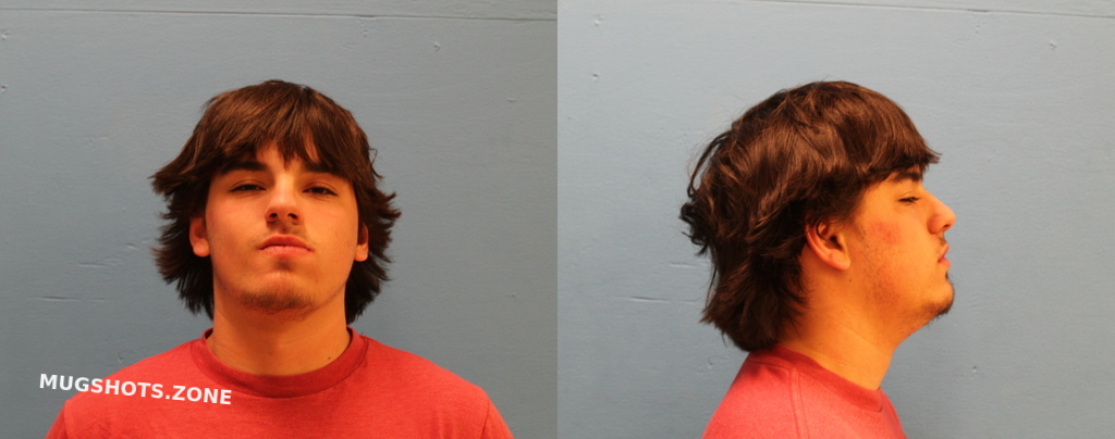 MICHELSON CHASE NOLAN 02/04/2024 - Guadalupe County Mugshots Zone