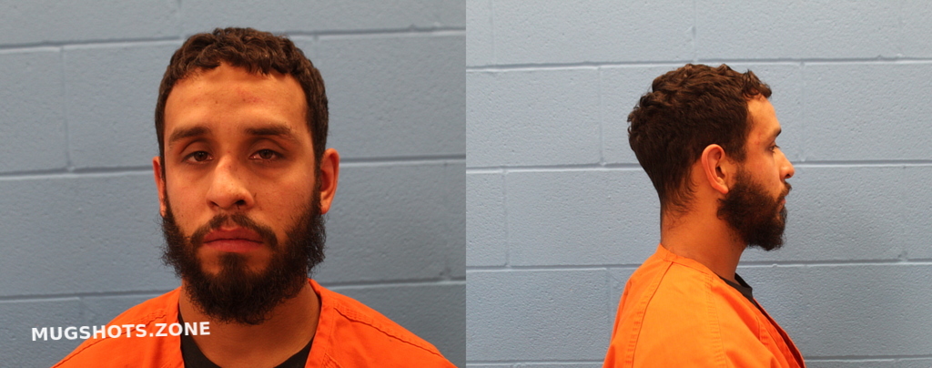 GUIA DEVINE RENEE 11/11/2024 - Guadalupe County Mugshots Zone