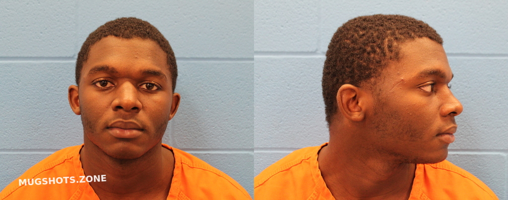 ROGERS ANDRE ANTWAN 11/16/2024 - Guadalupe County Mugshots Zone
