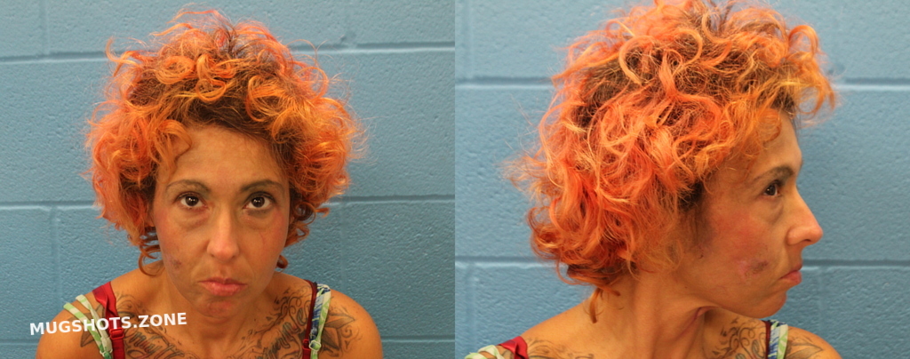 HELGE LONA MICHELLE 11/17/2024 - Guadalupe County Mugshots Zone