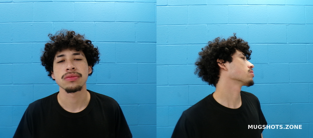 DIAZ JONATHAN RENE 01/03/2025 - Guadalupe County Mugshots Zone