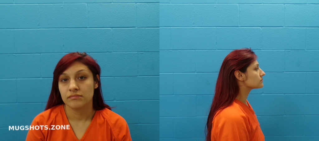 RENTERIA ALEXIS LIDIA 02/16/2025 - Guadalupe County Mugshots Zone