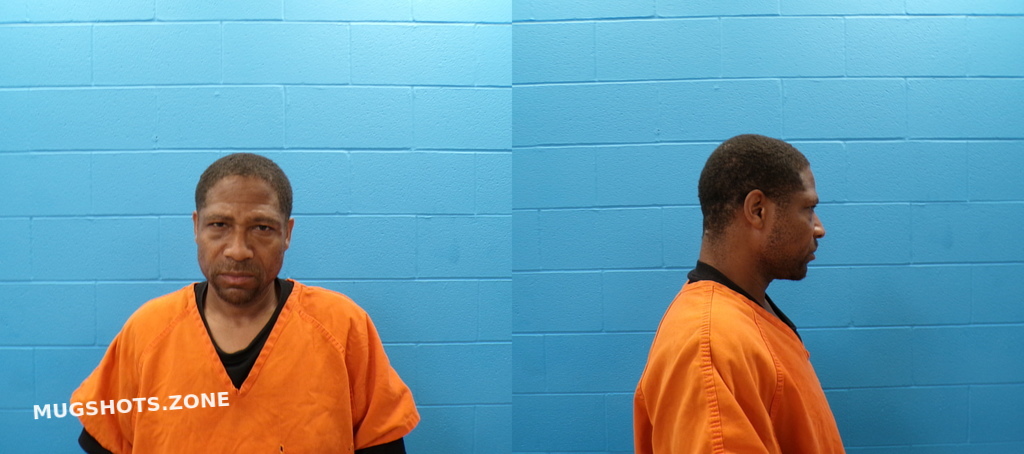 DAVIS SHAUN NICHOLAS 03/20/2025 - Guadalupe County Mugshots Zone