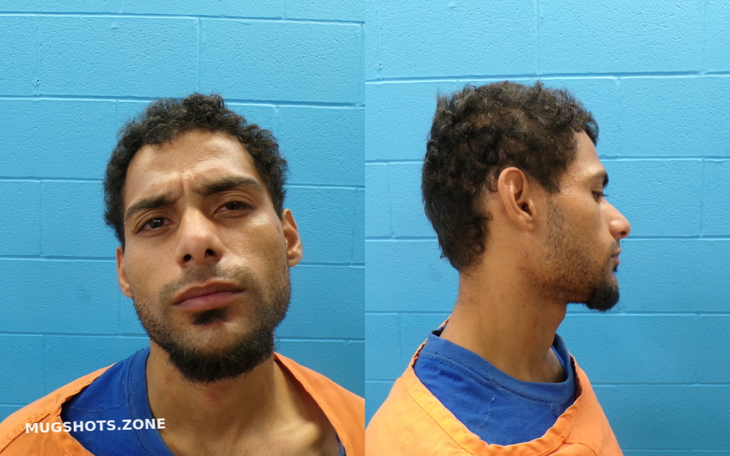 CHALUISANT FRANCIS ONIX 05/22/2025 - Guadalupe County Mugshots Zone