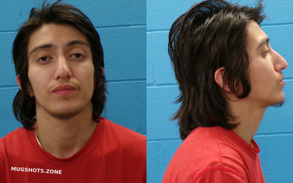 PAZ MICHELLE 01/18/2026 - Guadalupe County Mugshots Zone