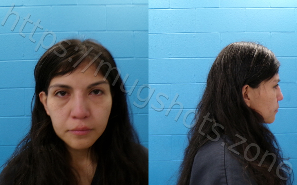 AMAYA ASHLEY 03/22/2026 - Guadalupe County Mugshots Zone