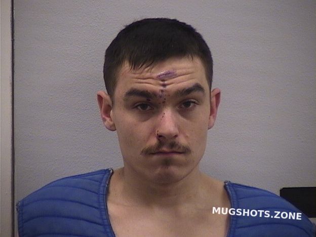 BAUERDICK DOMINICK 02/24/2025 - Guernsey County Mugshots Zone