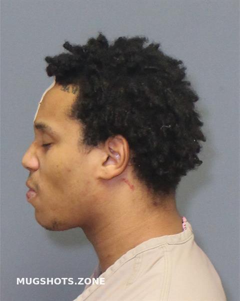 GOINS CAMERON DANIEL 10/29/2022 - Guilford County Mugshots Zone