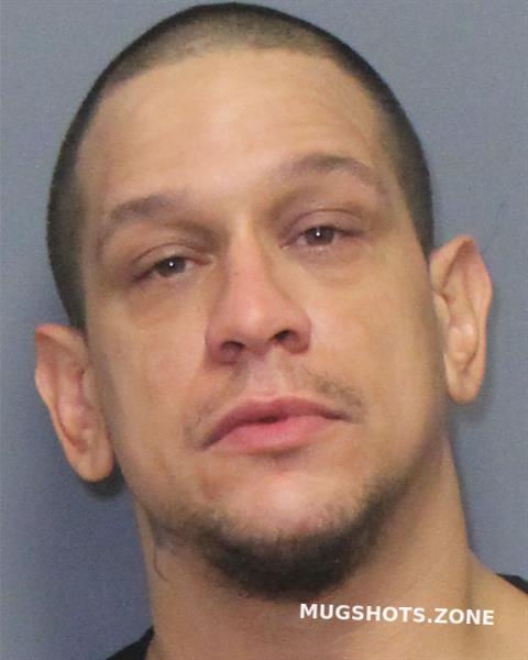 NELSON CHRISTOPHER RYAN 12/20/2022 - Guilford County Mugshots Zone