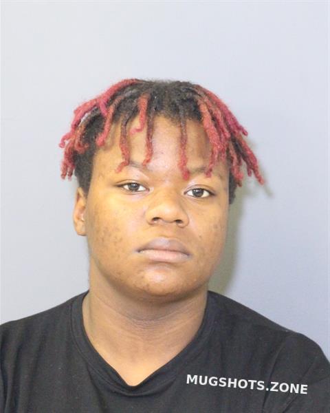 WILLIAMS KABRIEL SHYAN 01/03/2023 - Guilford County Mugshots Zone