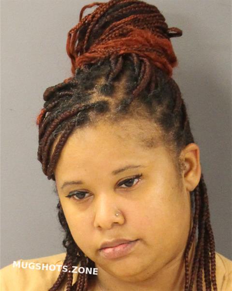 Sanders Shannon Michelle 03 04 2023 Guilford County Mugshots Zone