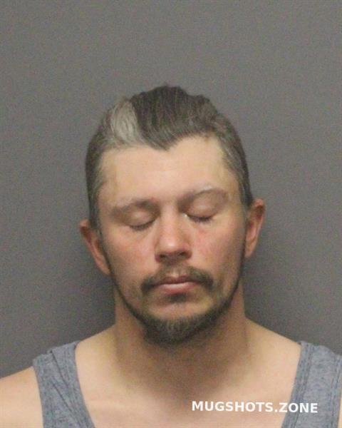 HAYNES TRAVIS EUGENE 02/22/2024 - Guilford County Mugshots Zone