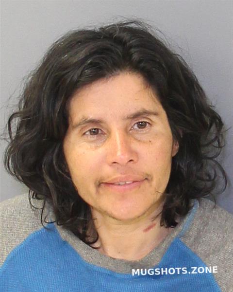 IRIZARRY SHELLY RUBY 06/12/2024 - Guilford County Mugshots Zone