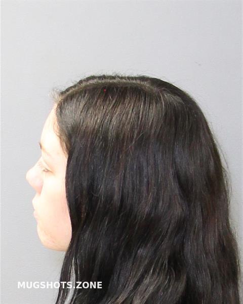 PRITCHETT GABRIELLE DANIELLE 06/24/2024 - Guilford County Mugshots Zone