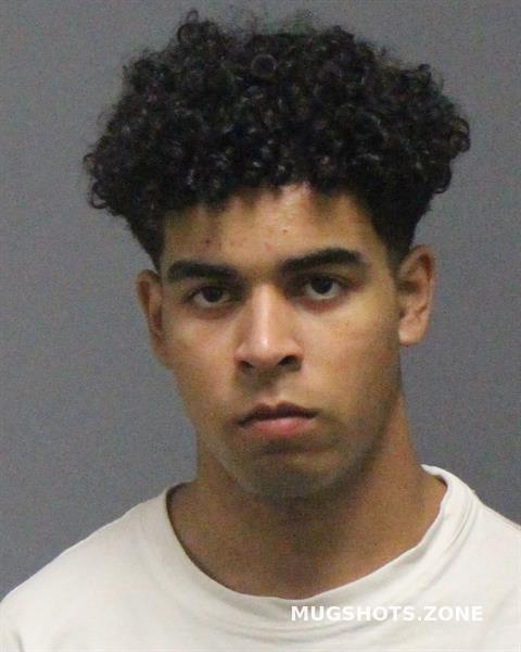 TAVERAS-FURCAL ANTHONY 08/18/2024 - Guilford County Mugshots Zone