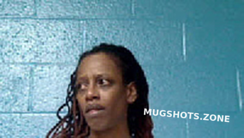 DAVIS SHAMIKA LATATE 02/05/2024 - Halifax County Mugshots Zone