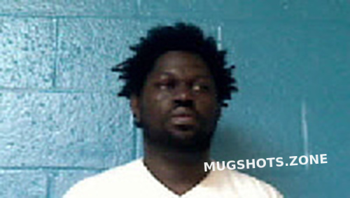 HARRIS SHANNON MARKEE 02/16/2024 - Halifax County Mugshots Zone