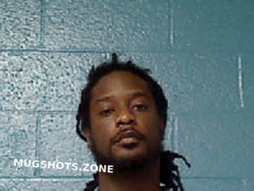 MASON TERRELL DESHAWN 04/22/2024 - Halifax County Mugshots Zone