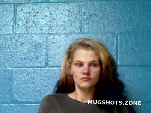FOWLER CHRISTINA DANIELLE 08/13/2024 - Halifax County Mugshots Zone