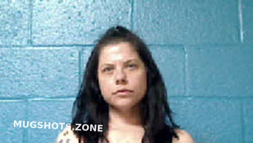 TAYLOR FAITH MARIE 12/11/2024 - Halifax County Mugshots Zone