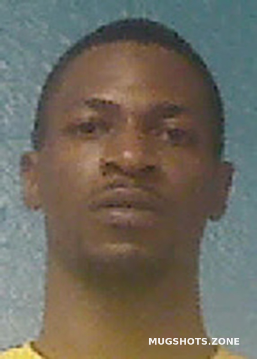 ROBINSON CALVIN LOUIS 02/11/2025 - Halifax County Mugshots Zone