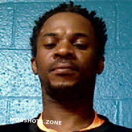 MARTIN PERCY LEE 03/27/2025 - Halifax County Mugshots Zone