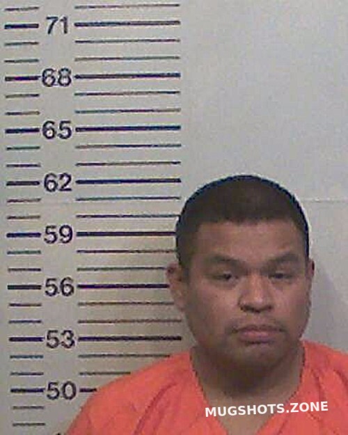 MANGULAS LOUIS JOHN 11/04/2021 - Hamilton County Mugshots Zone