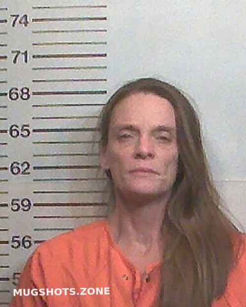 NETTLES LINETTE MICHELLE 11/19/2022 - Hamilton County Mugshots Zone