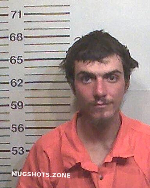 PARROT DYLAN NATHANIEL ALAN 11/28/2022 - Hamilton County Mugshots Zone