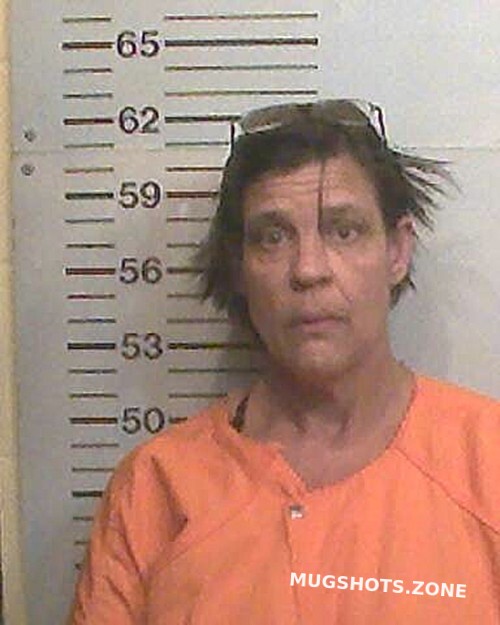 KEIM JANET DIONNE 01/15/2023 - Hamilton County Mugshots Zone