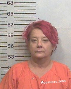 BAKER AMY NICHOLE 02/25/2023 - Hamilton County Mugshots Zone
