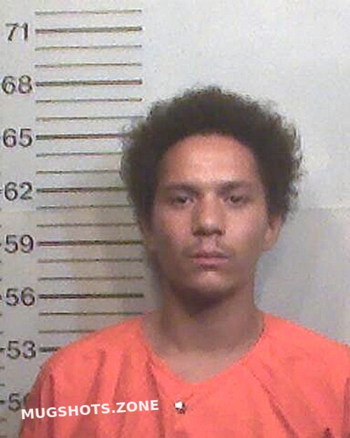 Wilson Nathaniel James 04 23 2023 Hamilton County Mugshots Zone