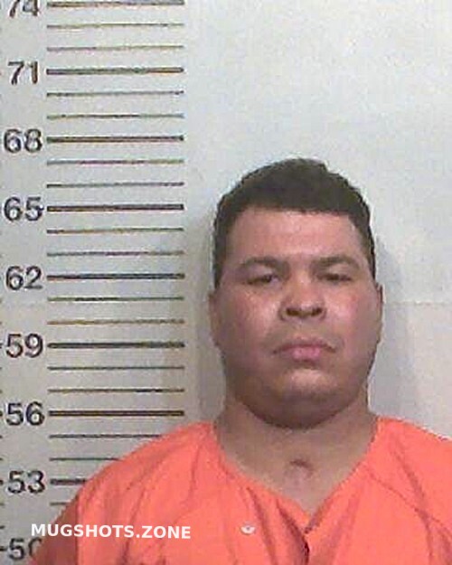 FROMETA GENDRY YORDAN 08/28/2023 - Hamilton County Mugshots Zone