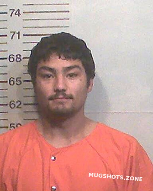 GOURLEY CHRISTOPHER JAMES 01/24/2024 - Hamilton County Mugshots Zone