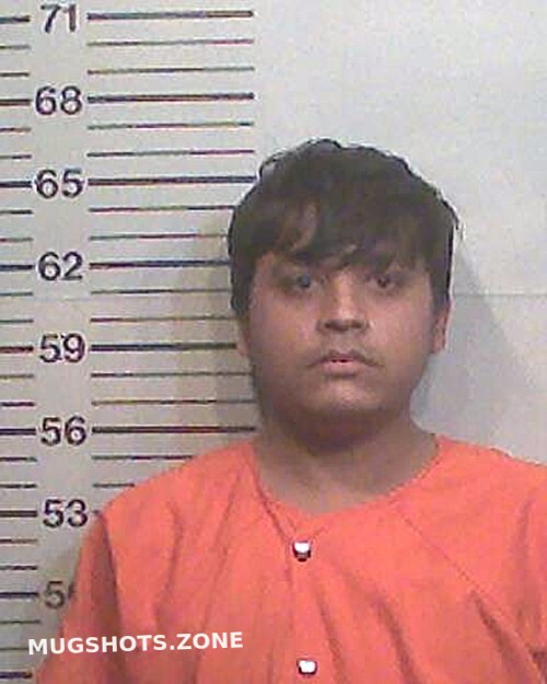PATEL HENISH VASUDEVBNAI 01/29/2024 - Hamilton County Mugshots Zone