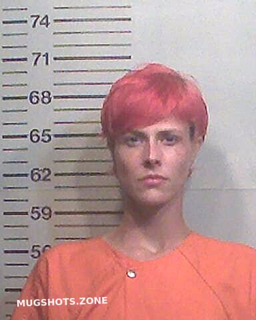 PARTRIDGE HAILEY LEE 02/15/2024 - Hamilton County Mugshots Zone