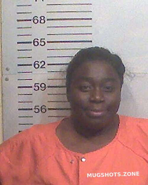 WILLIAMS TIFFANY NICHOLE 02/19/2024 - Hamilton County Mugshots Zone