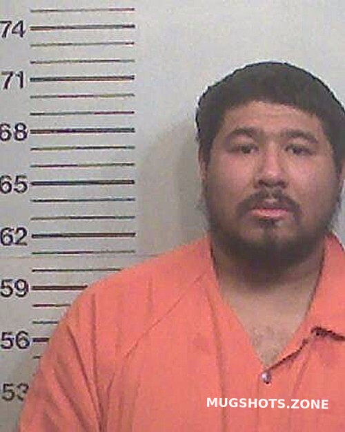 YOSHI JOSHUA MICHAEL 02/20/2024 - Hamilton County Mugshots Zone