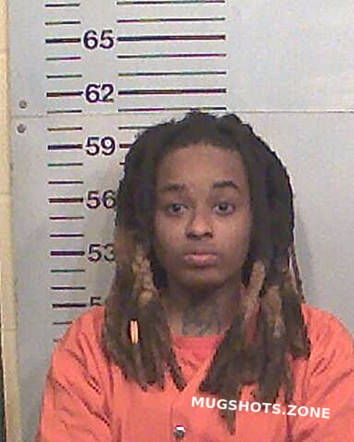 GAVIN TA'ZAIRA TELAE 02/22/2025 - Hamilton County Mugshots Zone