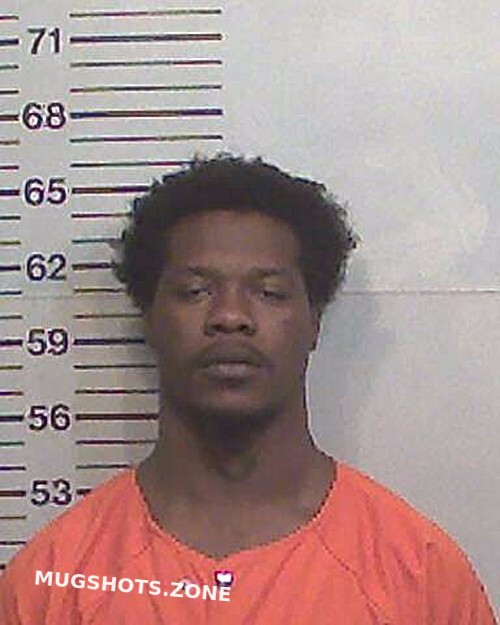 WASHINGTON JR ZED DONALD 03/03/2025 - Hamilton County Mugshots Zone