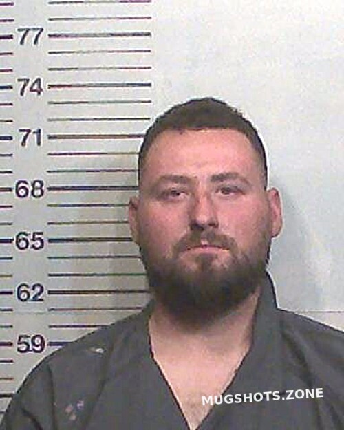 SCOGGIN TRAVIS RAY 03/12/2025 - Hamilton County Mugshots Zone