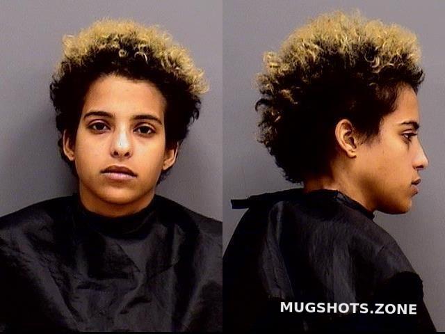 WILLIAMS LAKENDRA RENEE 05/28/2021 - Hamilton County Mugshots Zone