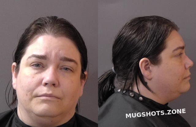 WILSON SUZANNE SNOW 02/17/2023 - Hamilton County Mugshots Zone