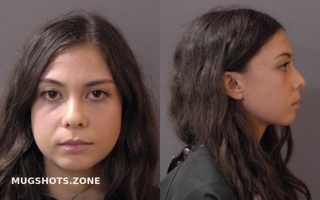 SARGENT ALISSA MARIE 03/12/2023 - Hamilton County Mugshots Zone