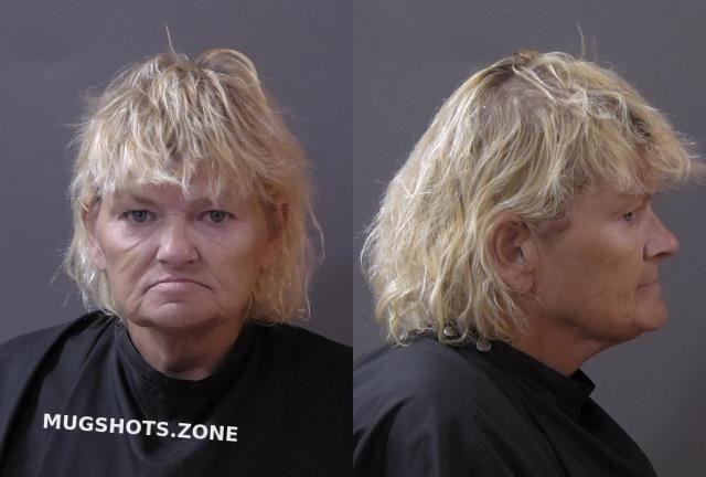 STEVENS MICHELLE RENEE 08/04/2023 - Hamilton County Mugshots Zone