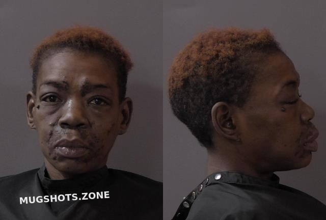 TRAVIS SYLVIA LATRICE 09/24/2023 - Hamilton County Mugshots Zone