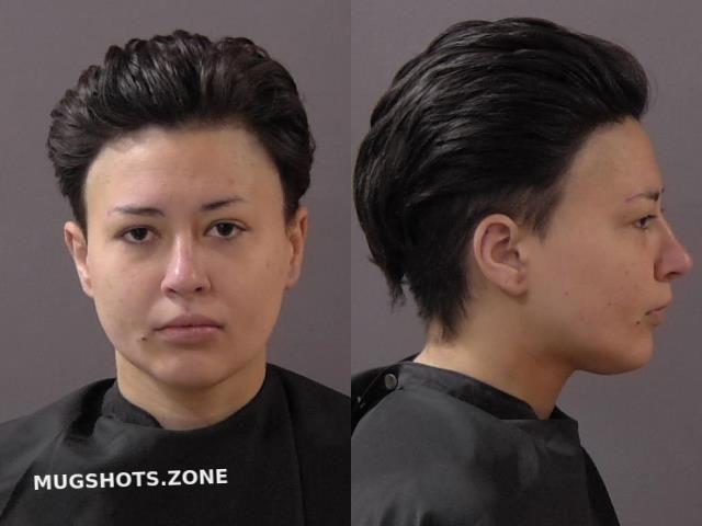 DOBOSIEWICZ MADELINE JAYNE 11/01/2023 - Hamilton County Mugshots Zone